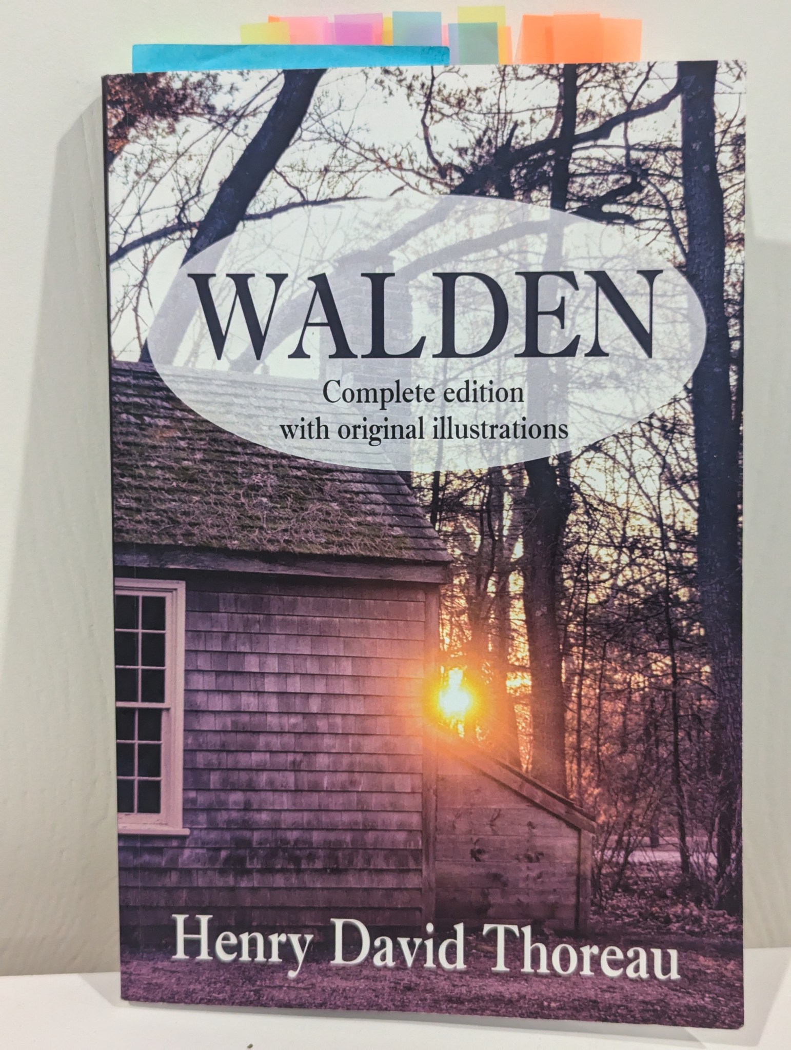 Walden – Inspirational Book Reviews